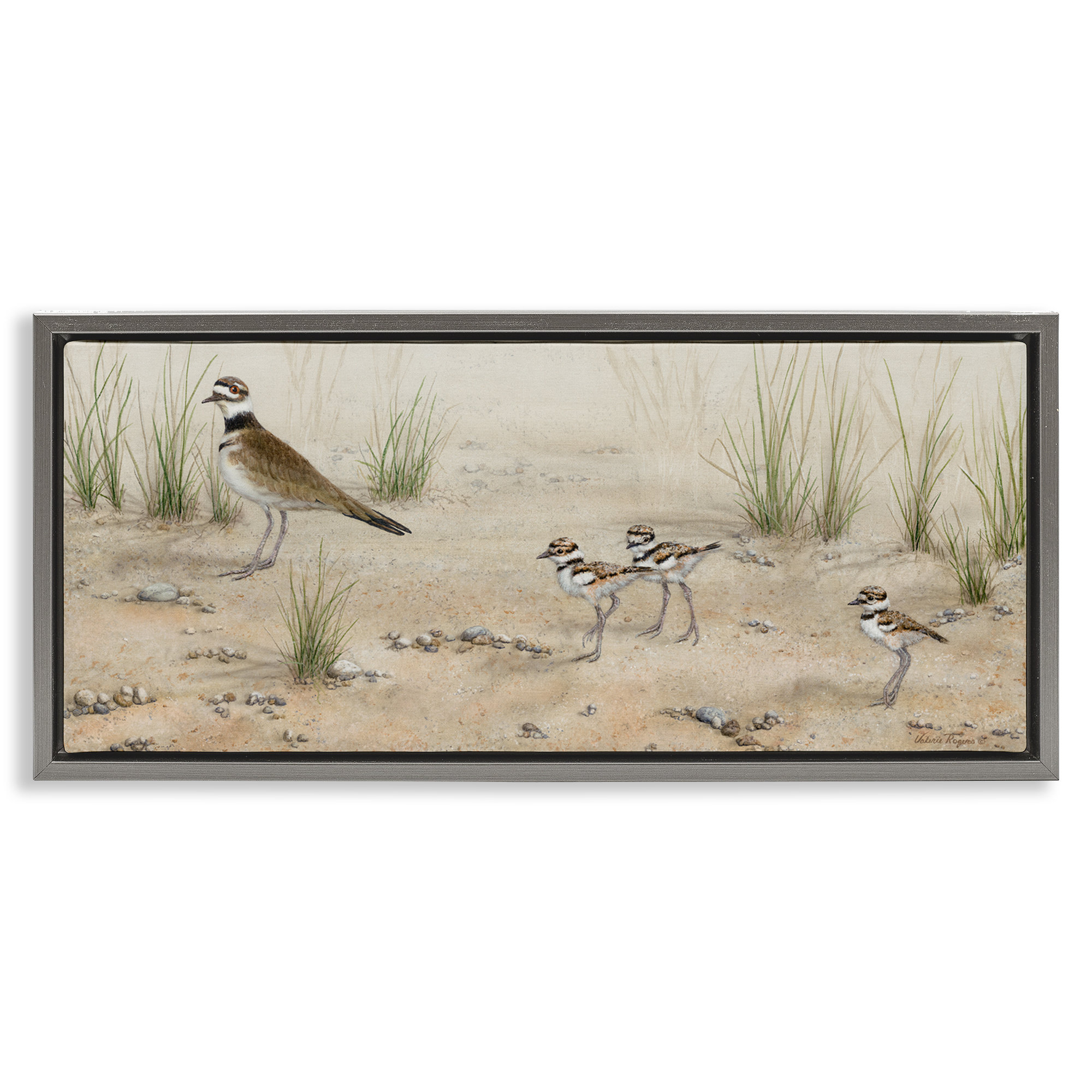 Latitude Run® Kildeer Birds Stepping Floater Canvas Wall Art by Valerie ...