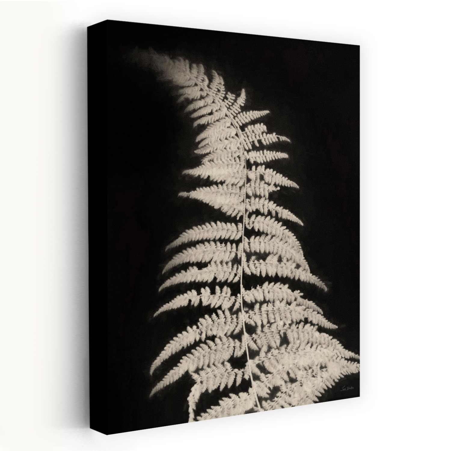 Latitude Run® Forest Ferns II Abstract Contemporary Fern Art | Wayfair