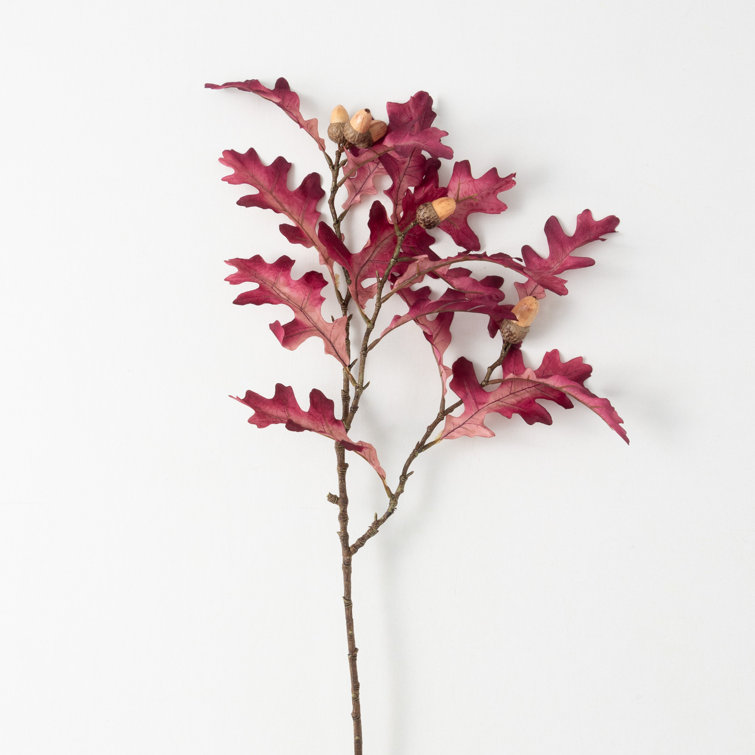 Primrue Pollard Oak Stem | Wayfair