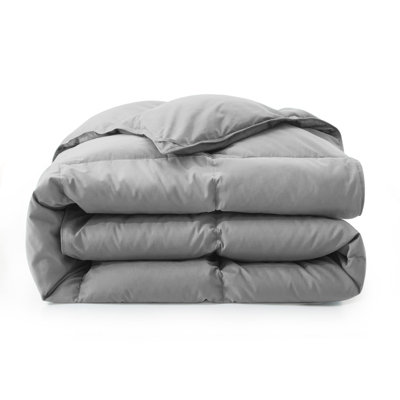 Alwyn Home 600 Fill Power All Season Goose Down Comforter "& Reviews ...