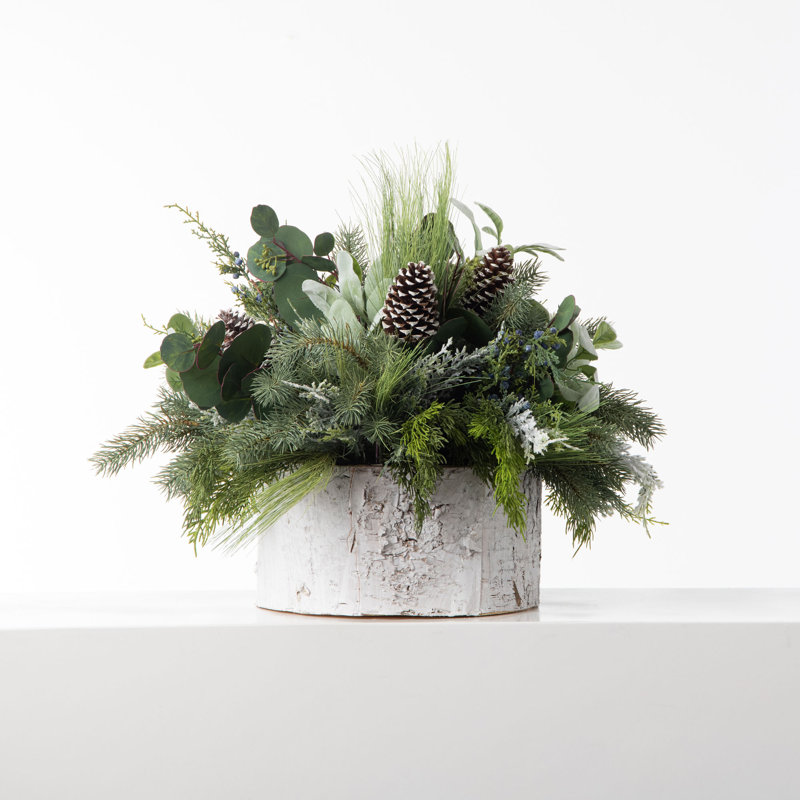 DarbyCreekTrading Polyether Polyurethane (PU) Mixed Arrangement in Pot ...