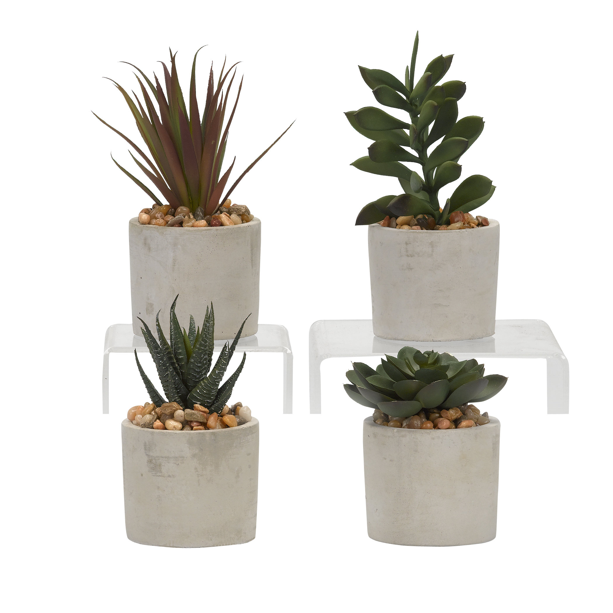 Gracie Oaks 4 Piece Assorted Succulent Desktop Plant in Pot Set ...