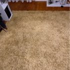 Zipcode Design™ Kianna Solid Color Rug & Reviews | Wayfair