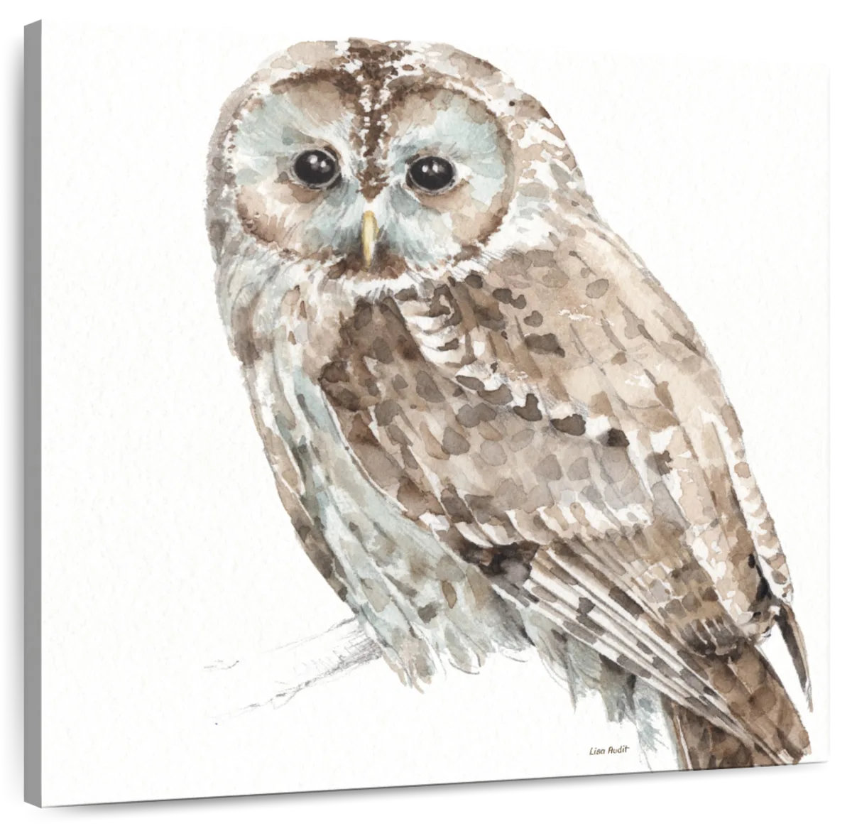 Ebern Designs Crowle Forest Friends III | Wayfair