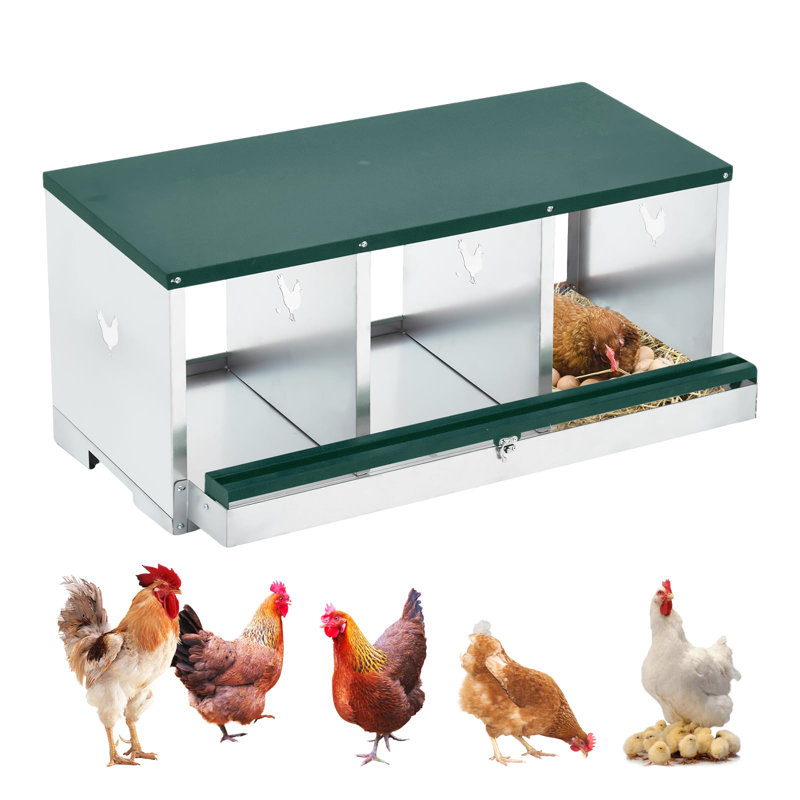 Tucker Murphy Pet™ Chicken Nesting Boxes for Laying Eggs, 3-Compartment ...