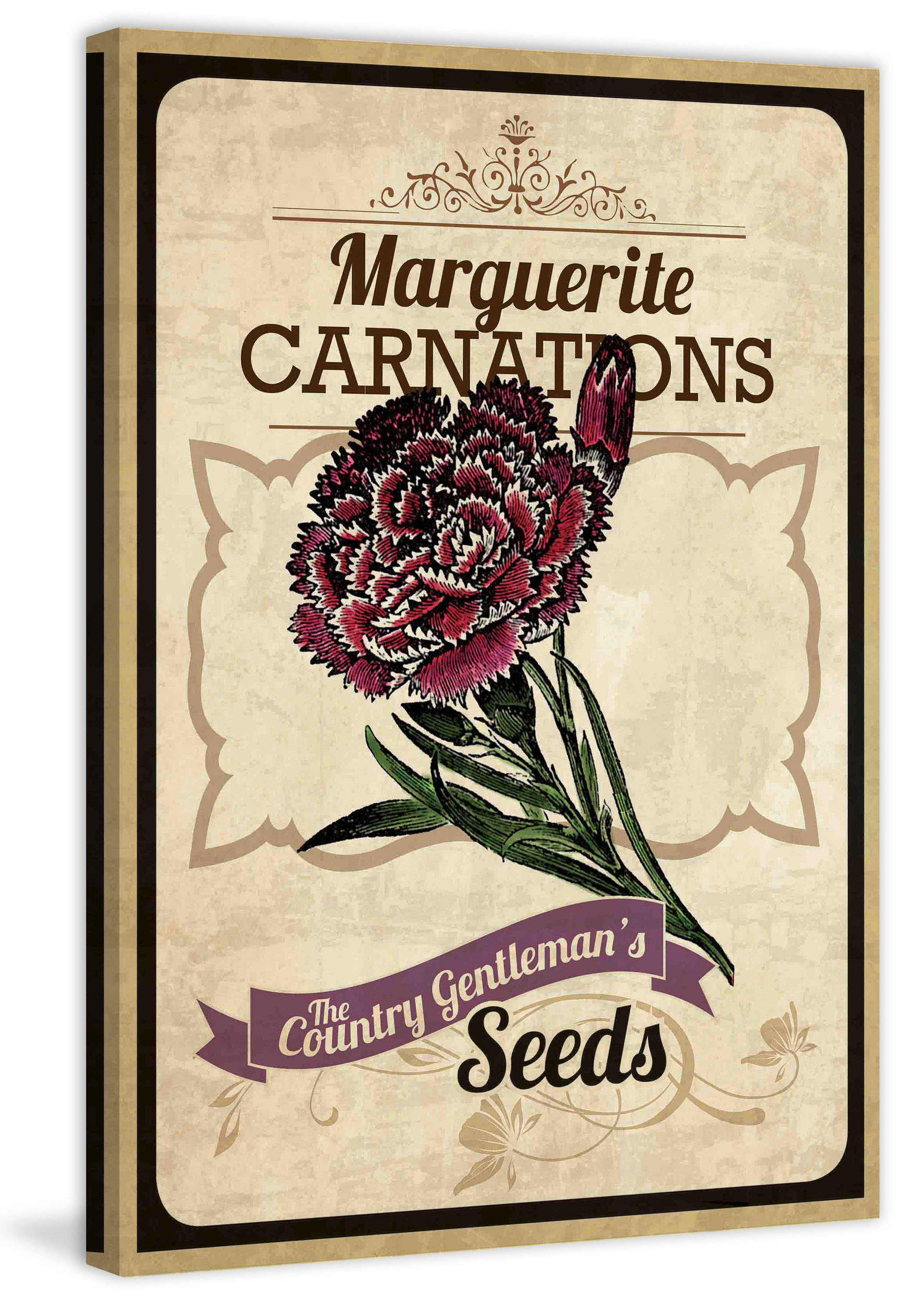 Marmont Hill 'Flower Packet Carnation' Painting Print on Wrapped Canvas ...