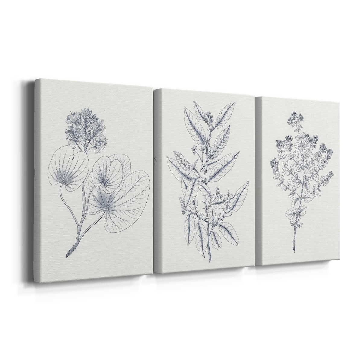 Darby Home Co Indigo Botany Study IV -Custom Wrapped Gallery Canvas - 3 ...