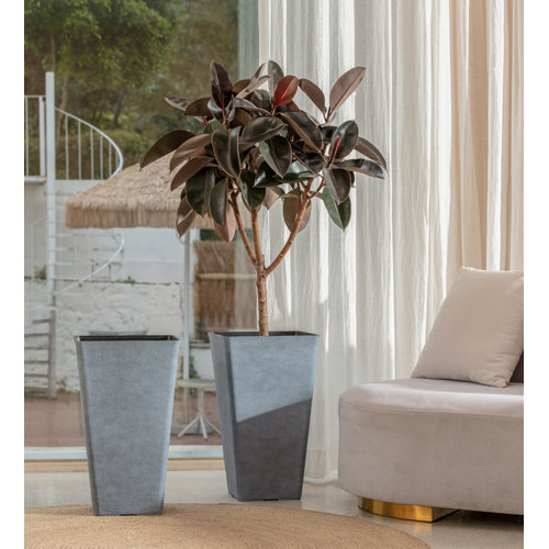 Wayfair | Planters You'll Love in 2023