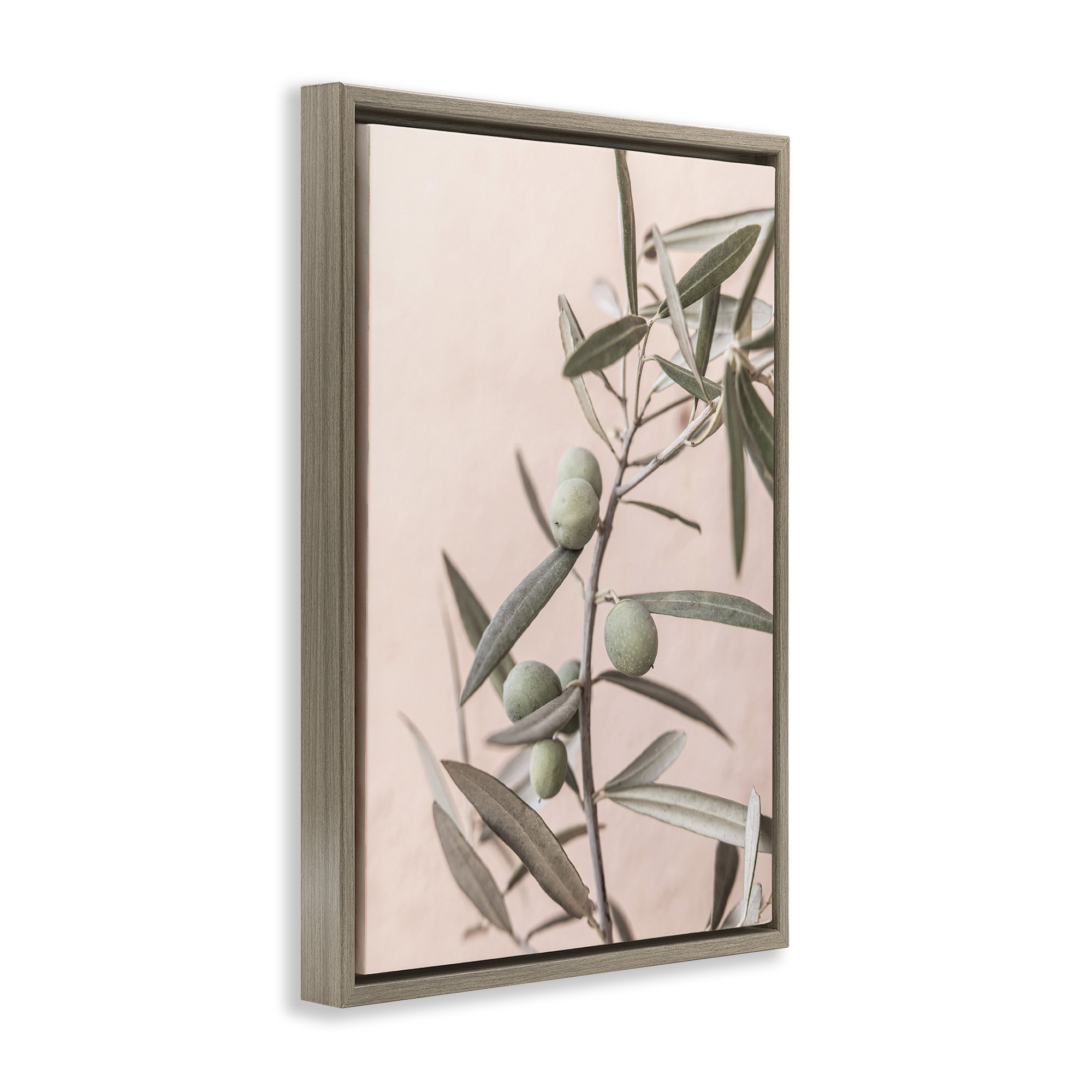 Latitude Run® Spanish Olive Branch Framed Floater Canvas by Sisi and ...