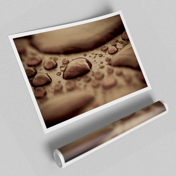 East Urban Home Chocolate Raindrop - No Frame Print | Wayfair.co.uk