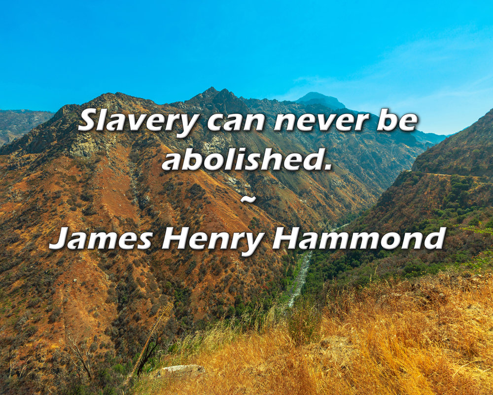 Trinx James Henry Hammond Quote: Slavery can never be abolished. | Wayfair