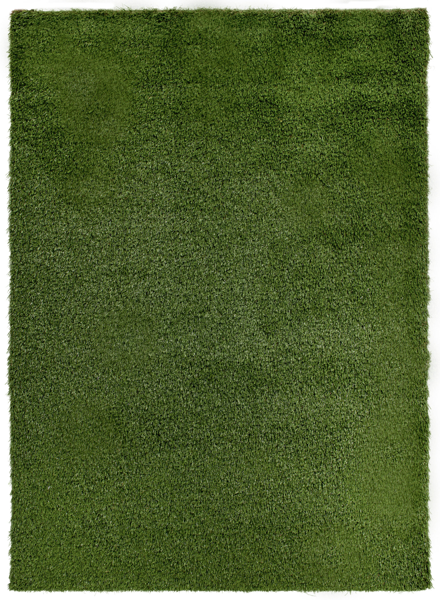 Arlmont & Co. Trumbull Artificial Grass Turf Rug and Roll & Reviews ...