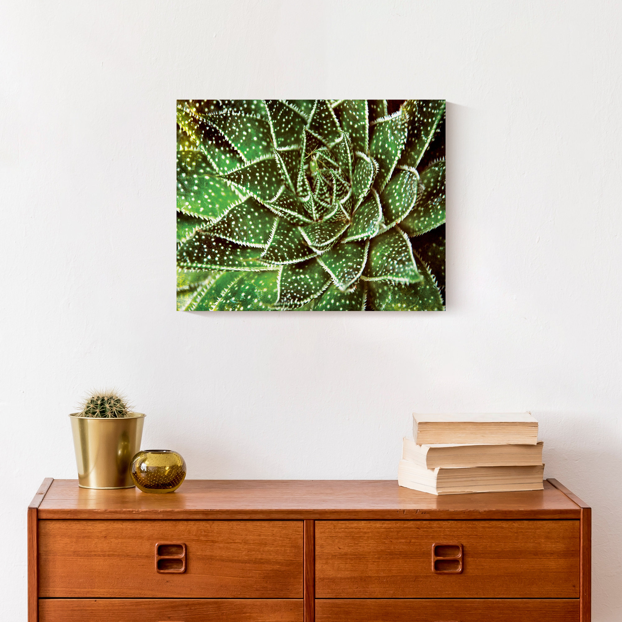 Dakota Fields " Spotty Succulent " | Wayfair