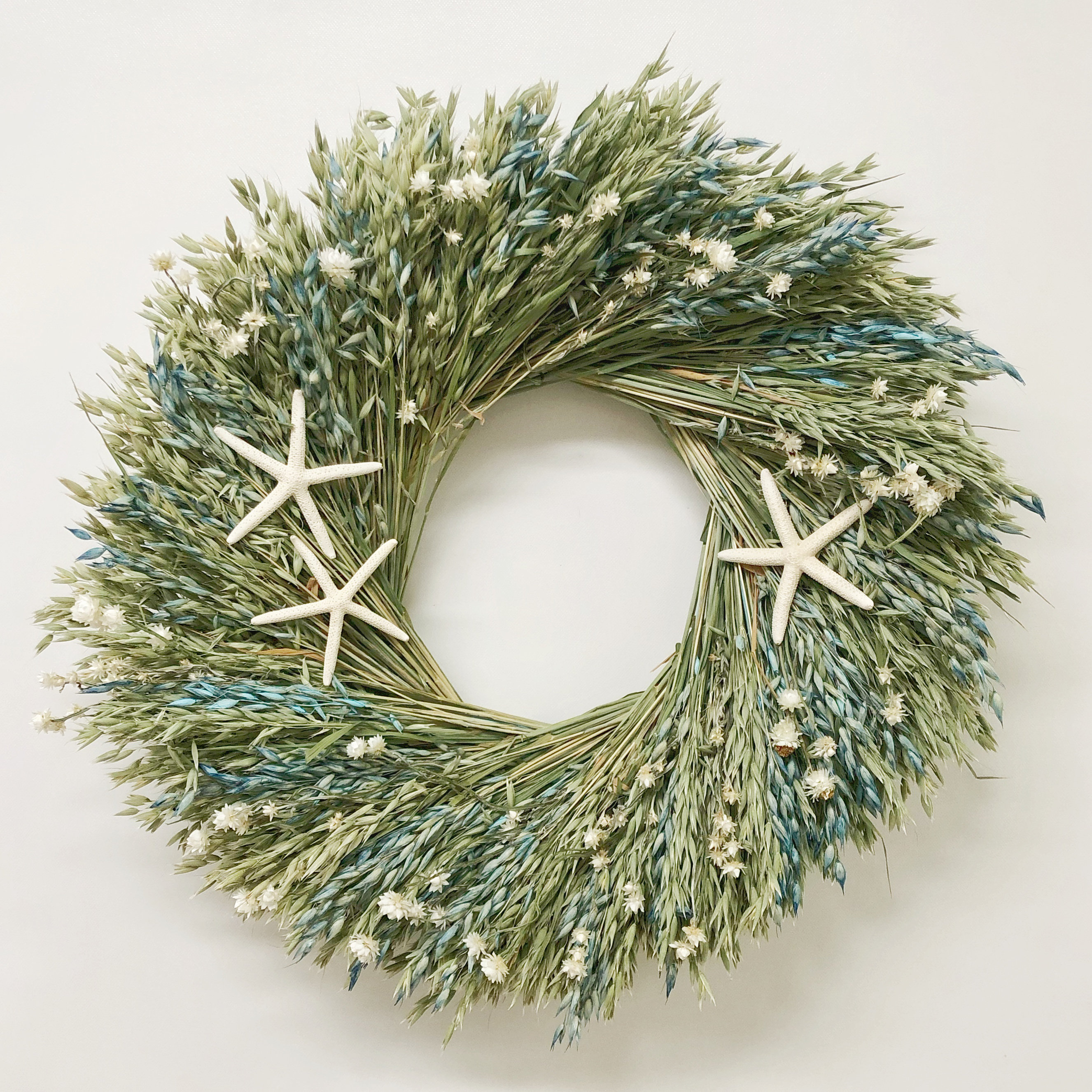 Rosecliff Heights Natural Dried Flower Green and Blue Avena Oats ...