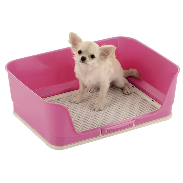 Richell Splash Free Potty Pad Tray, Training Tray | Wayfair