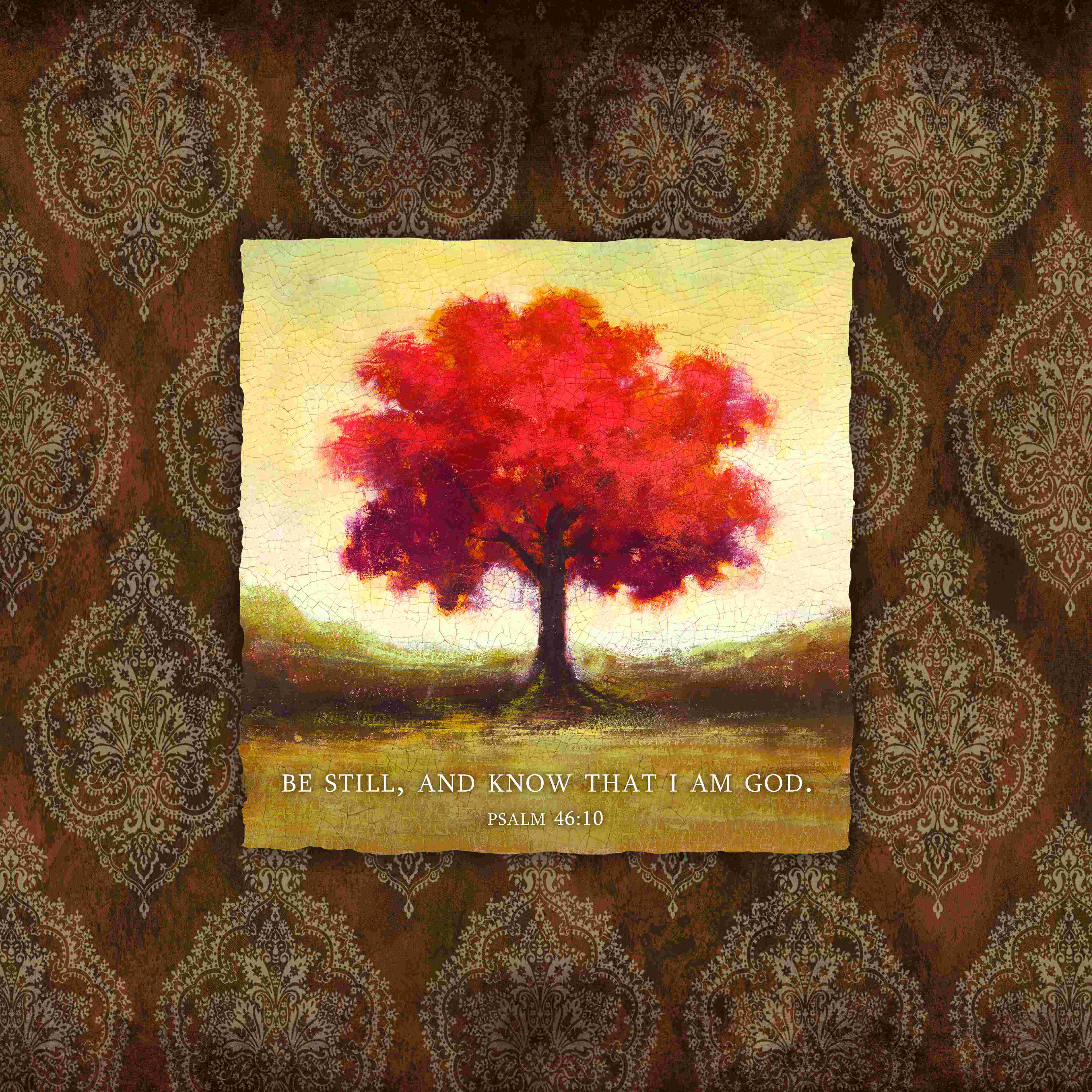 Winston Porter Be Still Tree - Wrapped Canvas Print | Wayfair