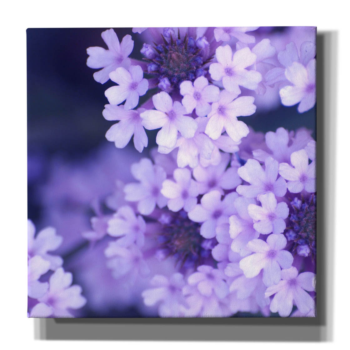 Latitude Run® " Purple Flowers 2 " by PhotoINC Studio | Wayfair