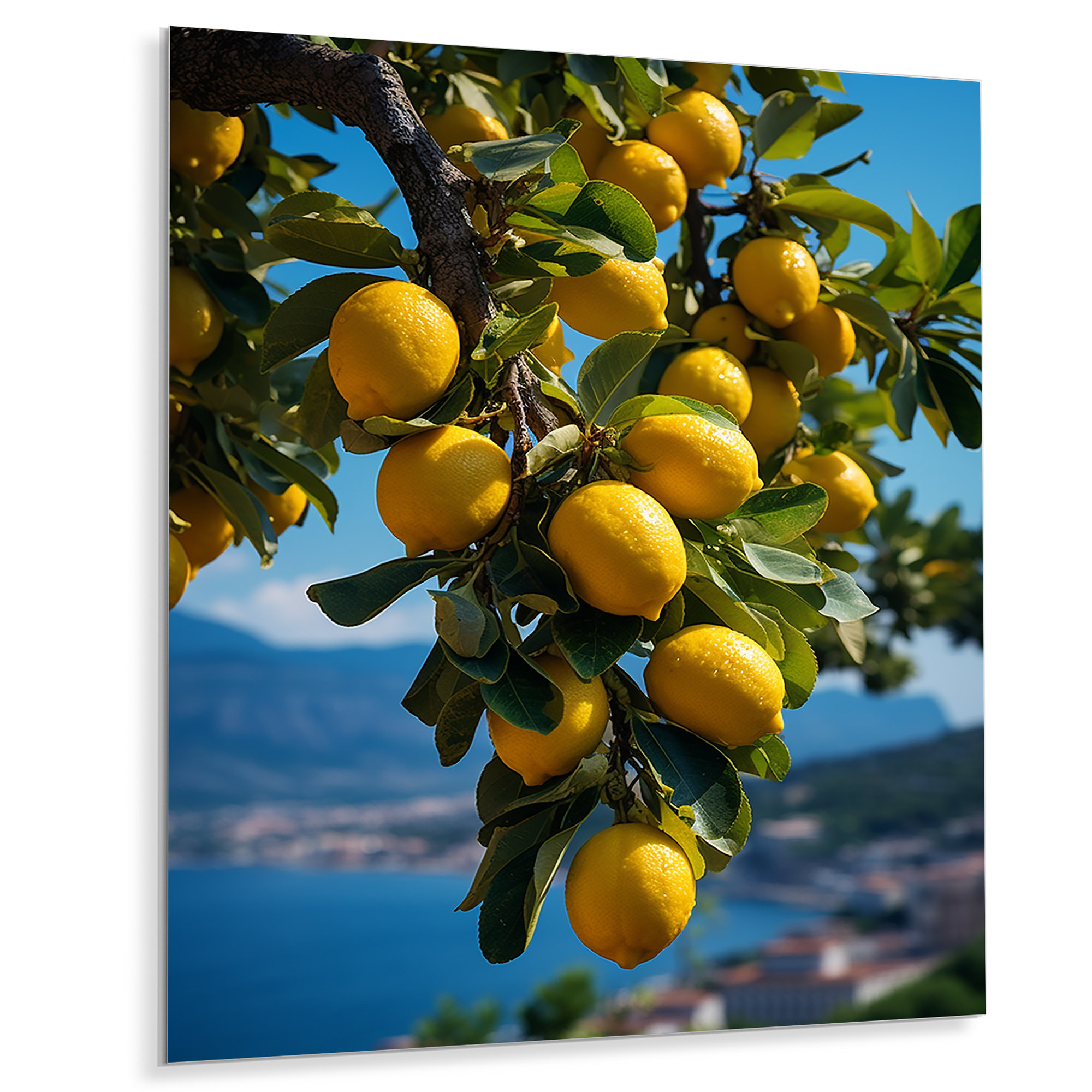 Ebern Designs Italy Sorrento Serenade II - Farmhouse Metal Wall Decor ...