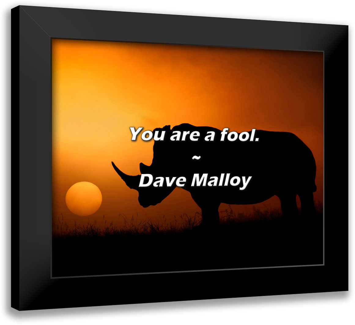 Trinx Dave Malloy Quote: You are a fool. | Wayfair