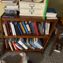 Lark Manor Burge Bookcase & Reviews | Wayfair