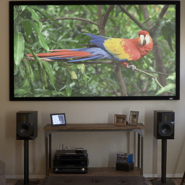 Elite Screens Fixed Frame Projector Screen - Wayfair Canada