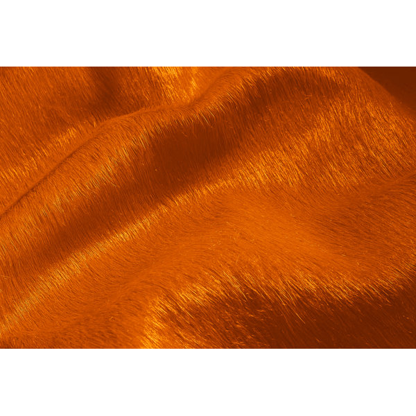 Latitude Run® Rondon Handmade Cowhide Orange Area Rug & Reviews | Wayfair