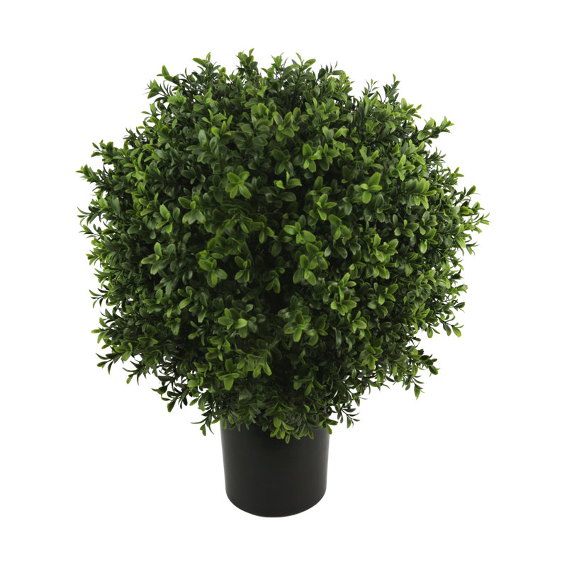 Birch Lane™ Kienan UV Rated Indoor/Outdoor Faux Boxwood Topiary ...