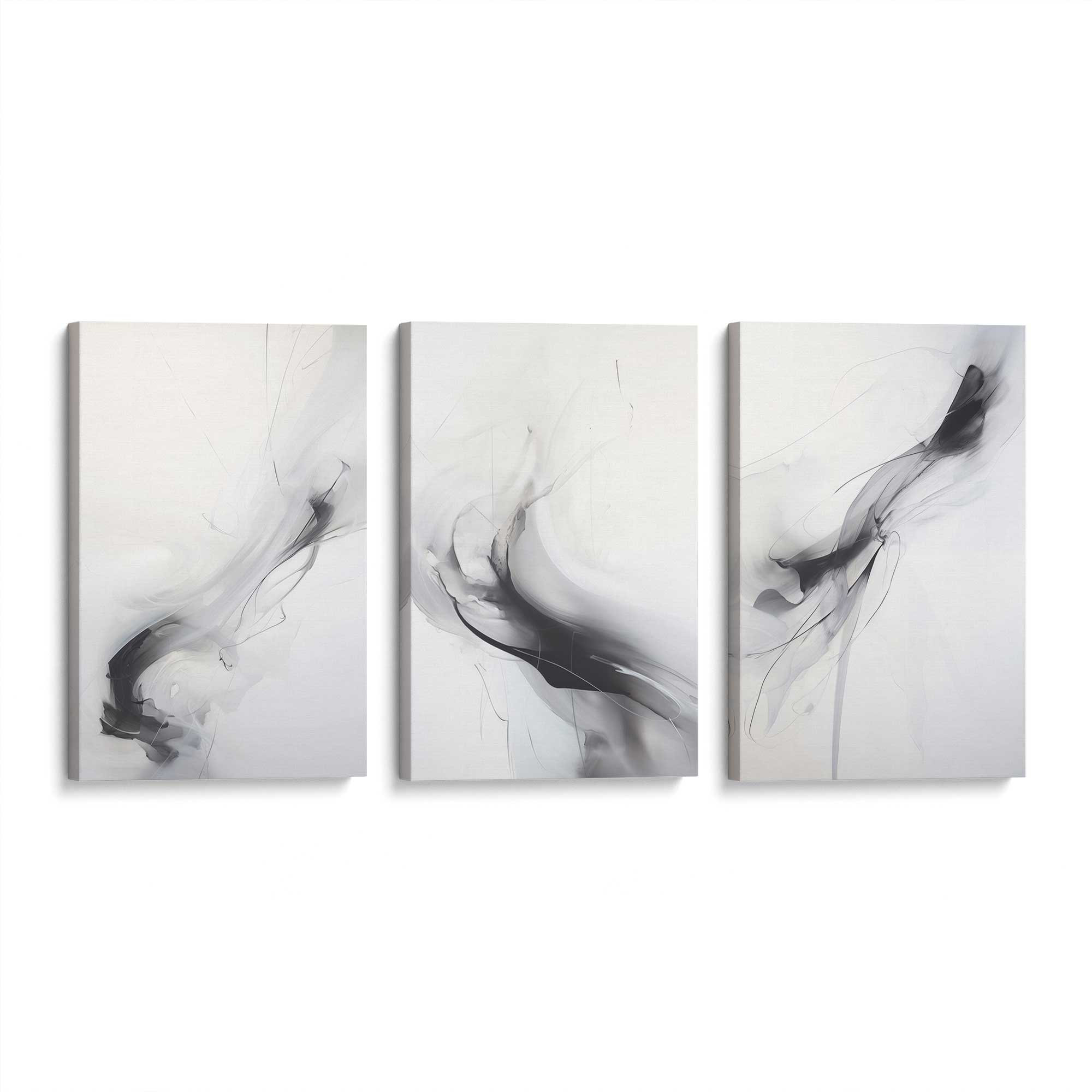 Frametolia Ethereal Smoke Dance Set of 3 Canvas Prints in a Frame | Wayfair