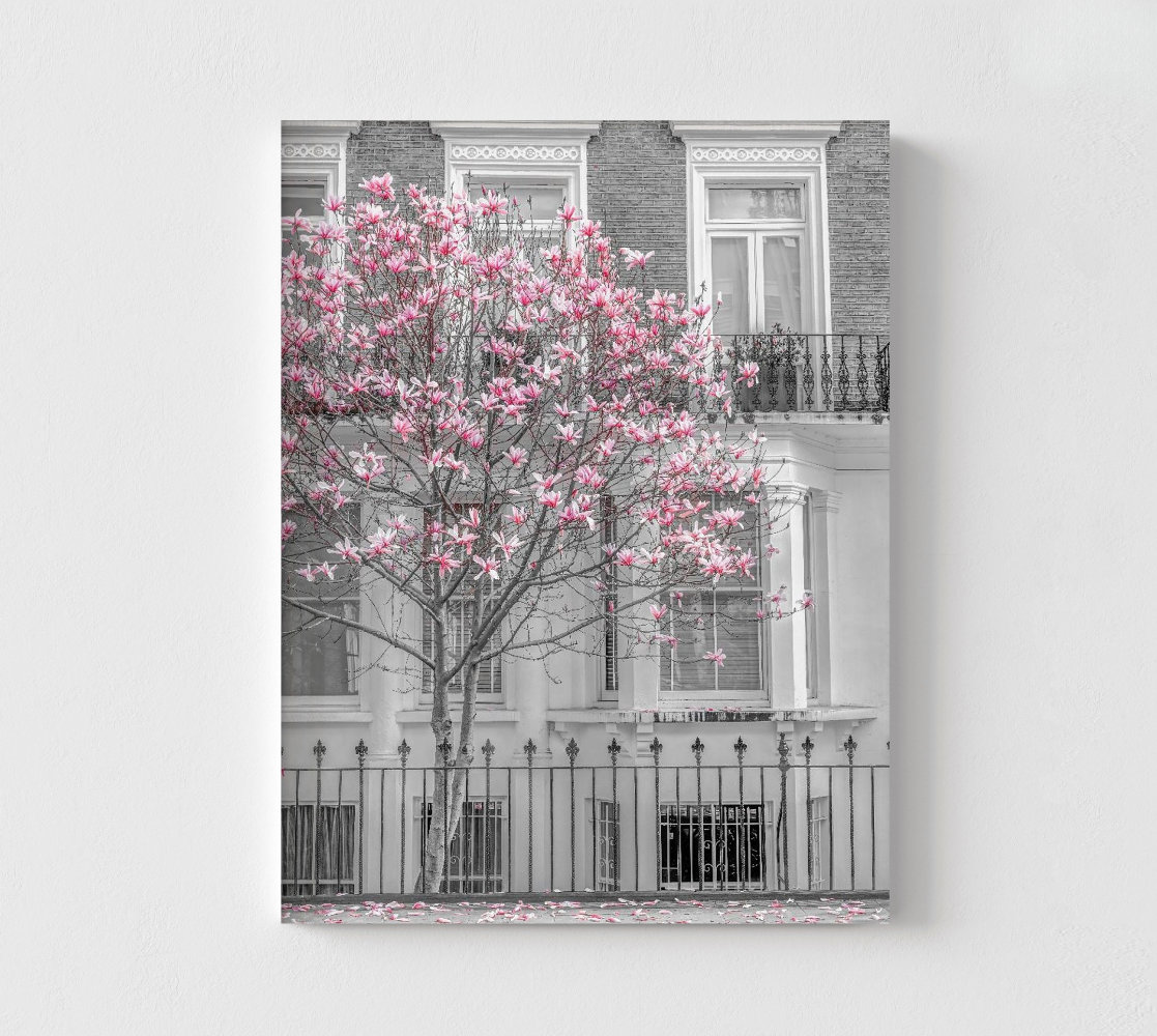 WeFrameArt Magnolia Tree Photography Print, Framed Pink Tree ...