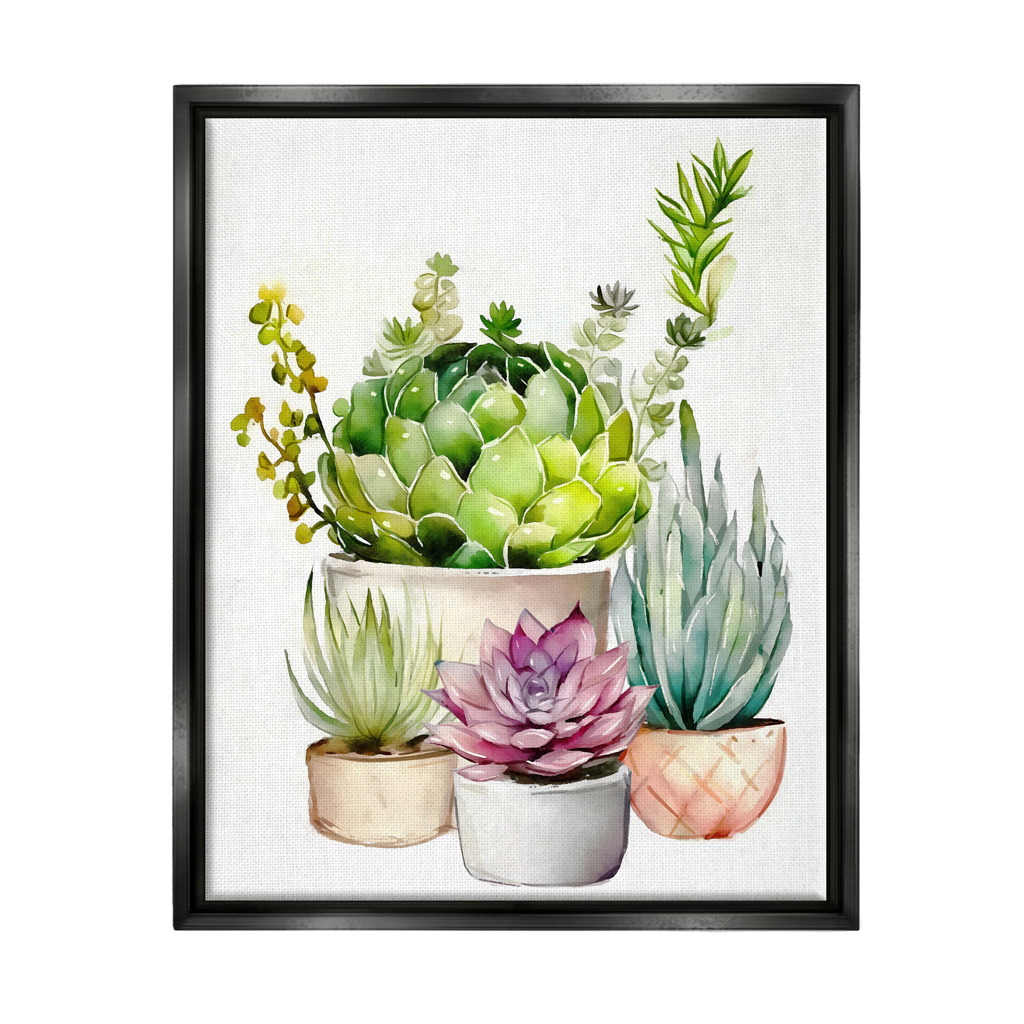 Dakota Fields Varied Succulent Garden Plants Framed Floater Canvas Wall ...