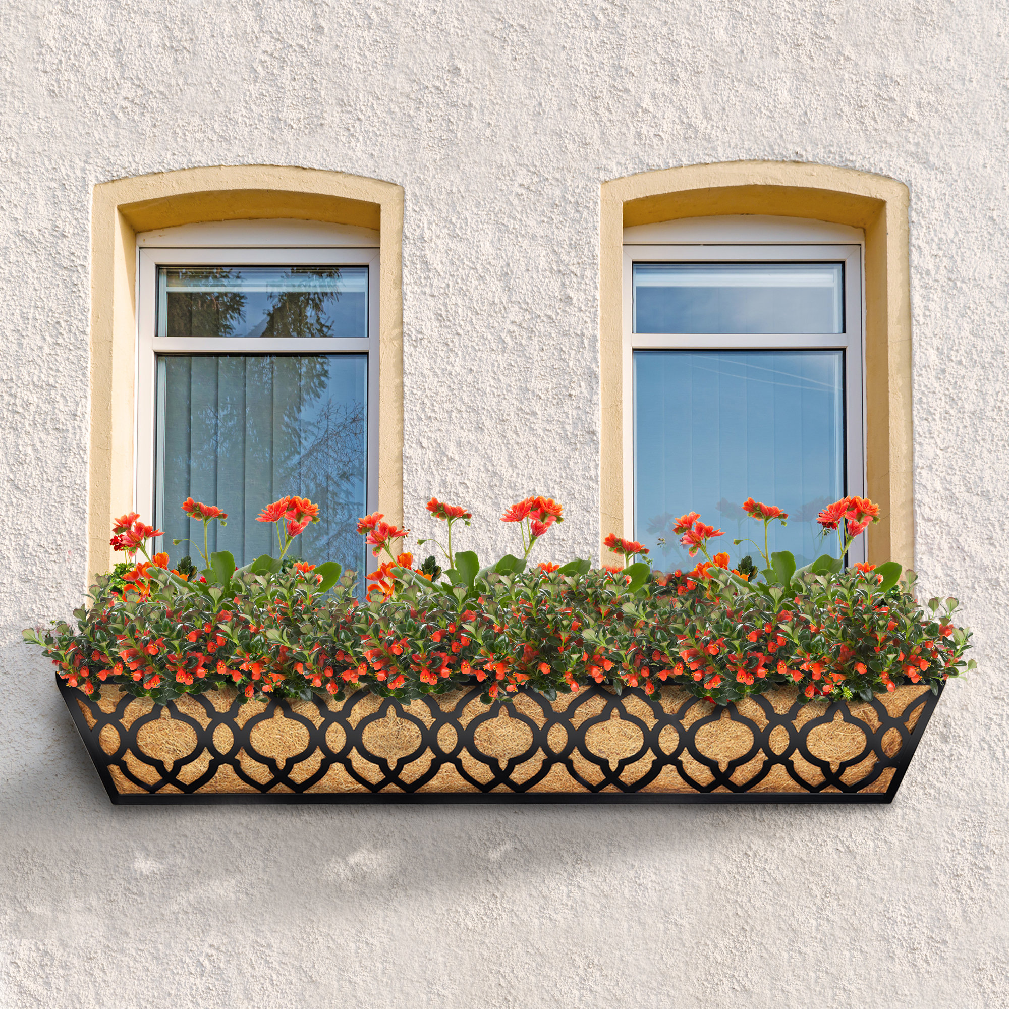 Ophelia & Co. Sely Outdoor Window Box Planter | Wayfair