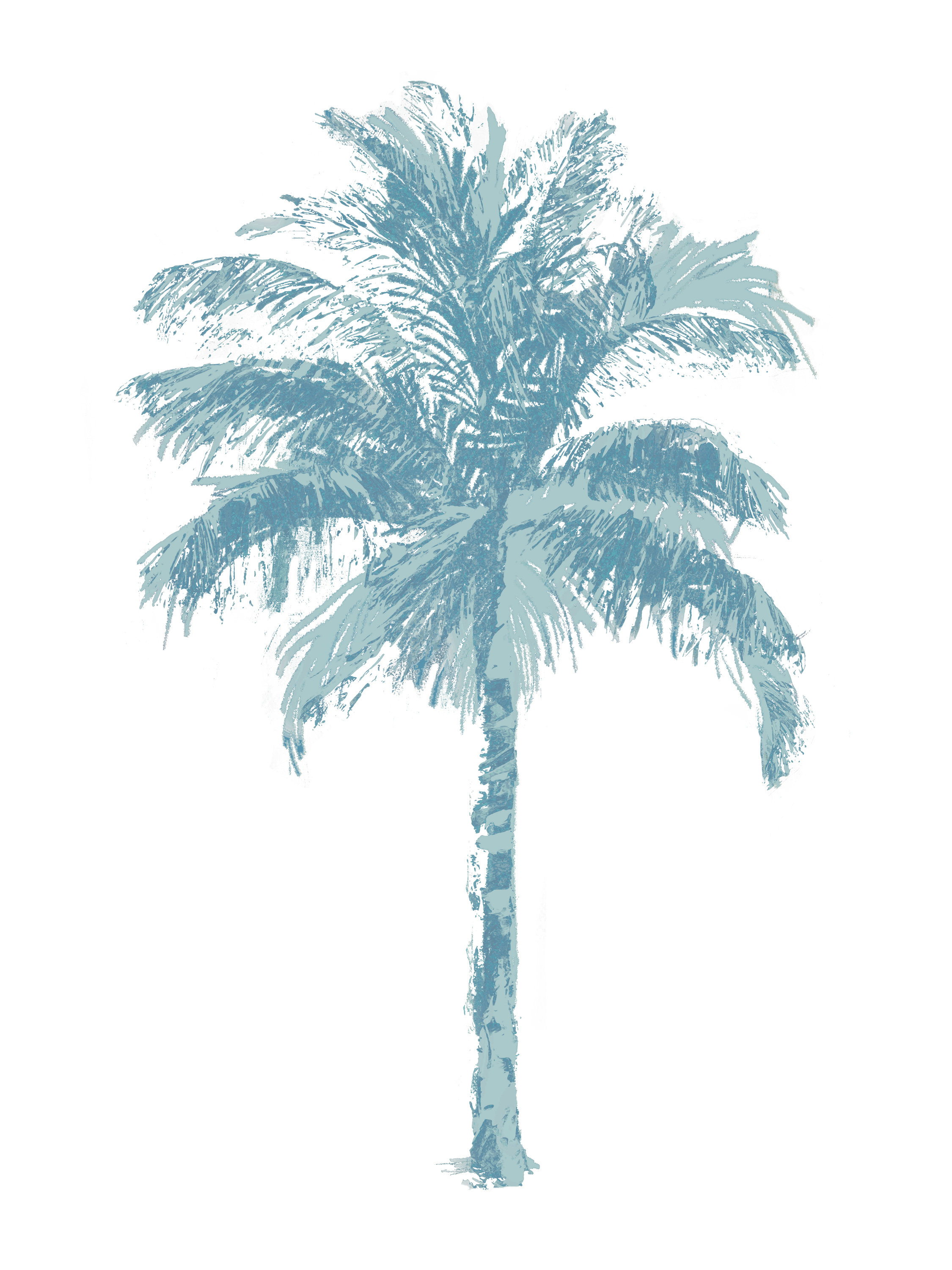Bay Isle Home™ Andenwood Palm Aqua II On Canvas by Kristen Drew Print ...