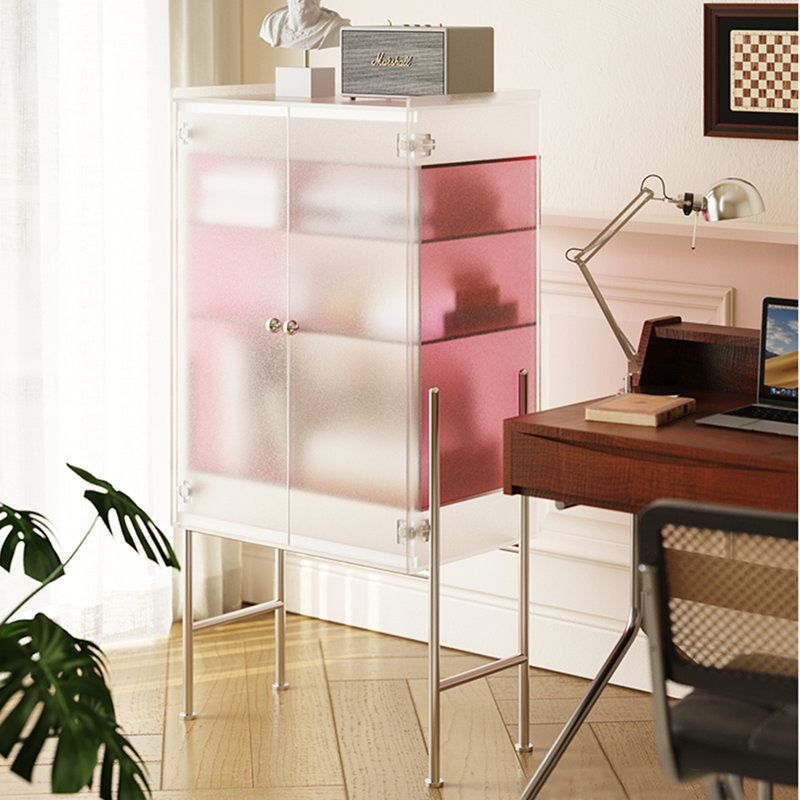 interanest Elegant Frosted Semi-Transparent Storage Cabinet | Wayfair