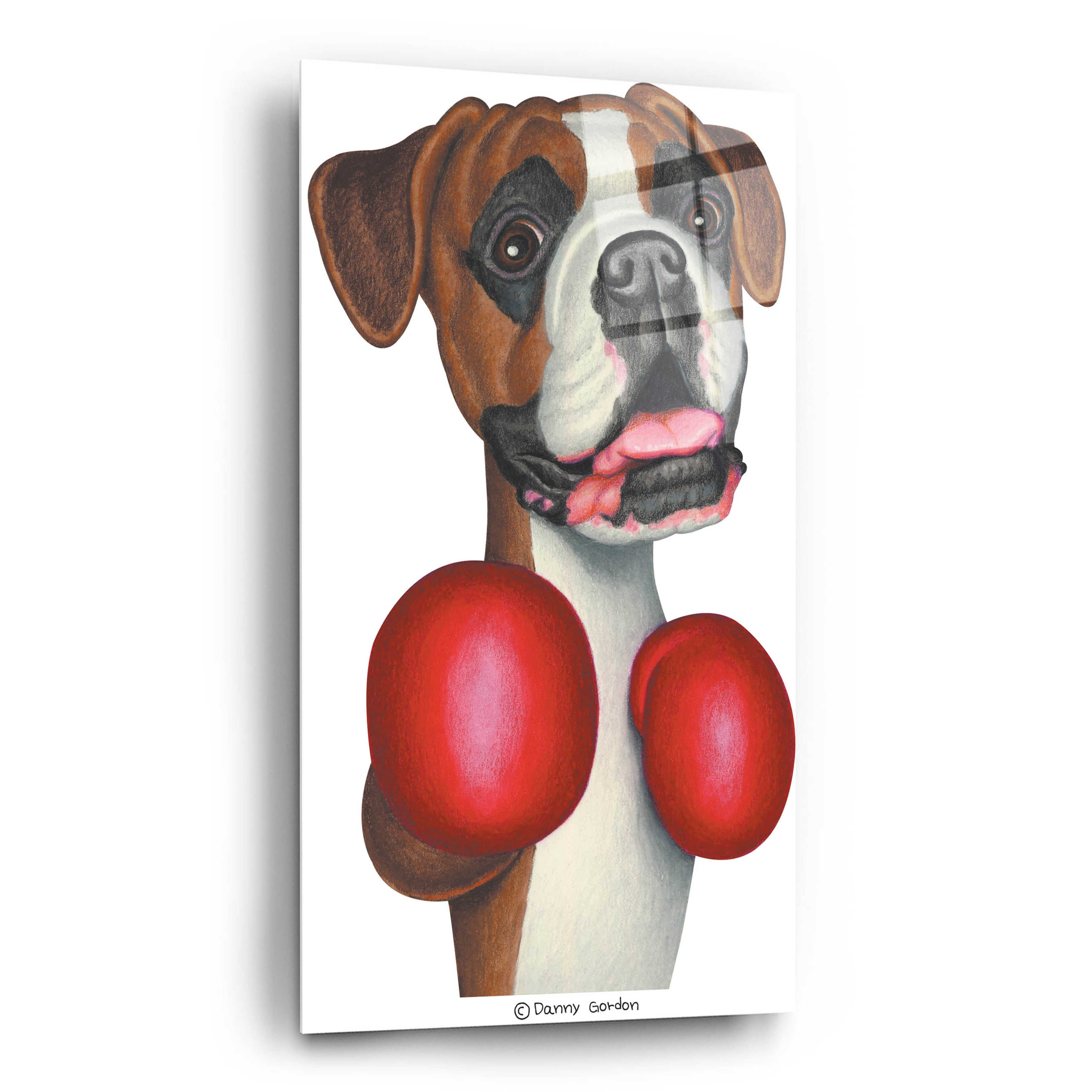 Trinx 'Boxer Wearing Boxing Gloves' By Danny Gordon Art, Acrylic Glass ...