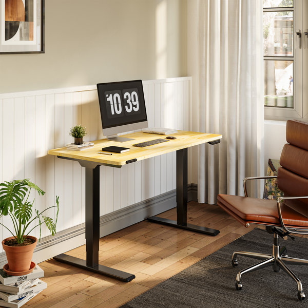 Inbox Zero Dual Motors 3-Stage Height Adjustale Standing Desks, Solid ...