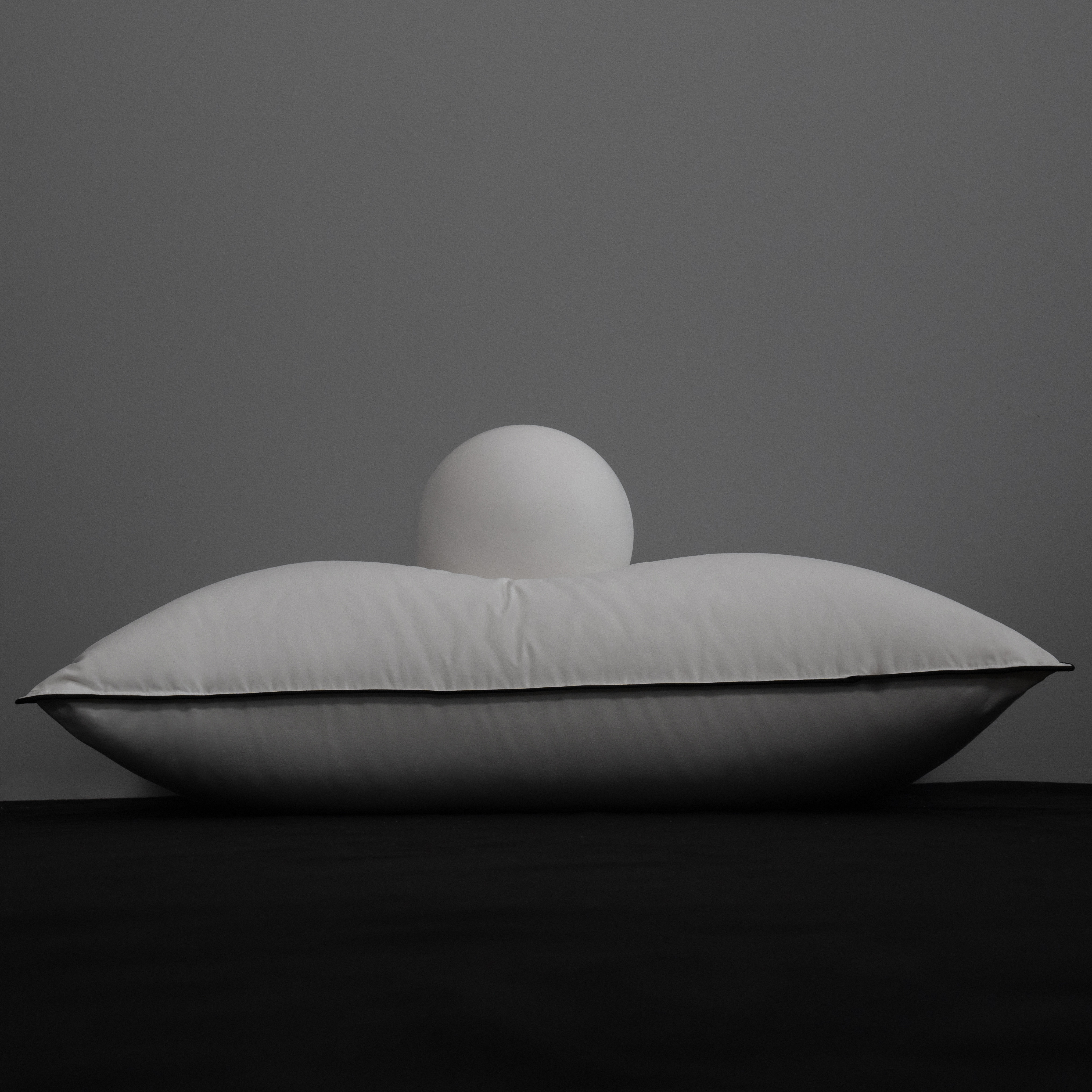 Latitude Run® Down Blend Pillow Soft Density Pillows | Wayfair