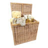 Birch Lane™ Yula Rattan Decorative Storage Trunk with Lid, Tall Size ...