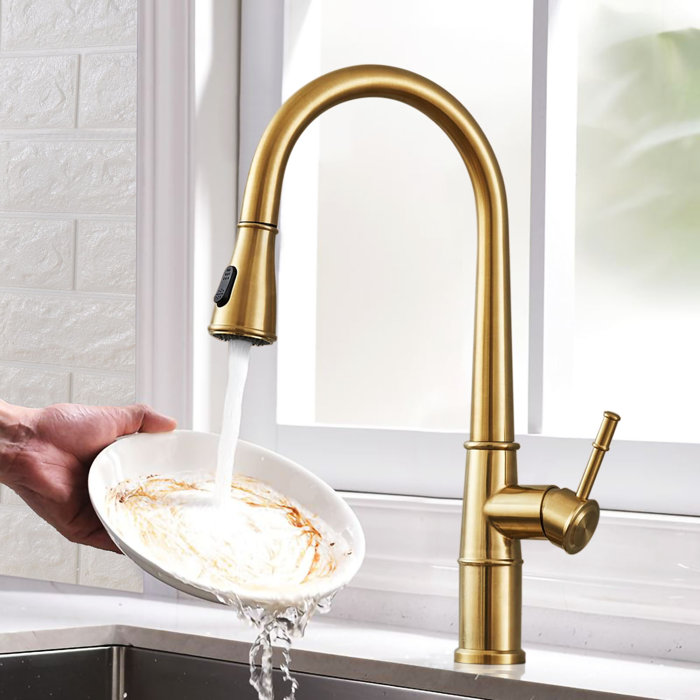 Topcraft Pull Out Kitchen Faucet | Wayfair