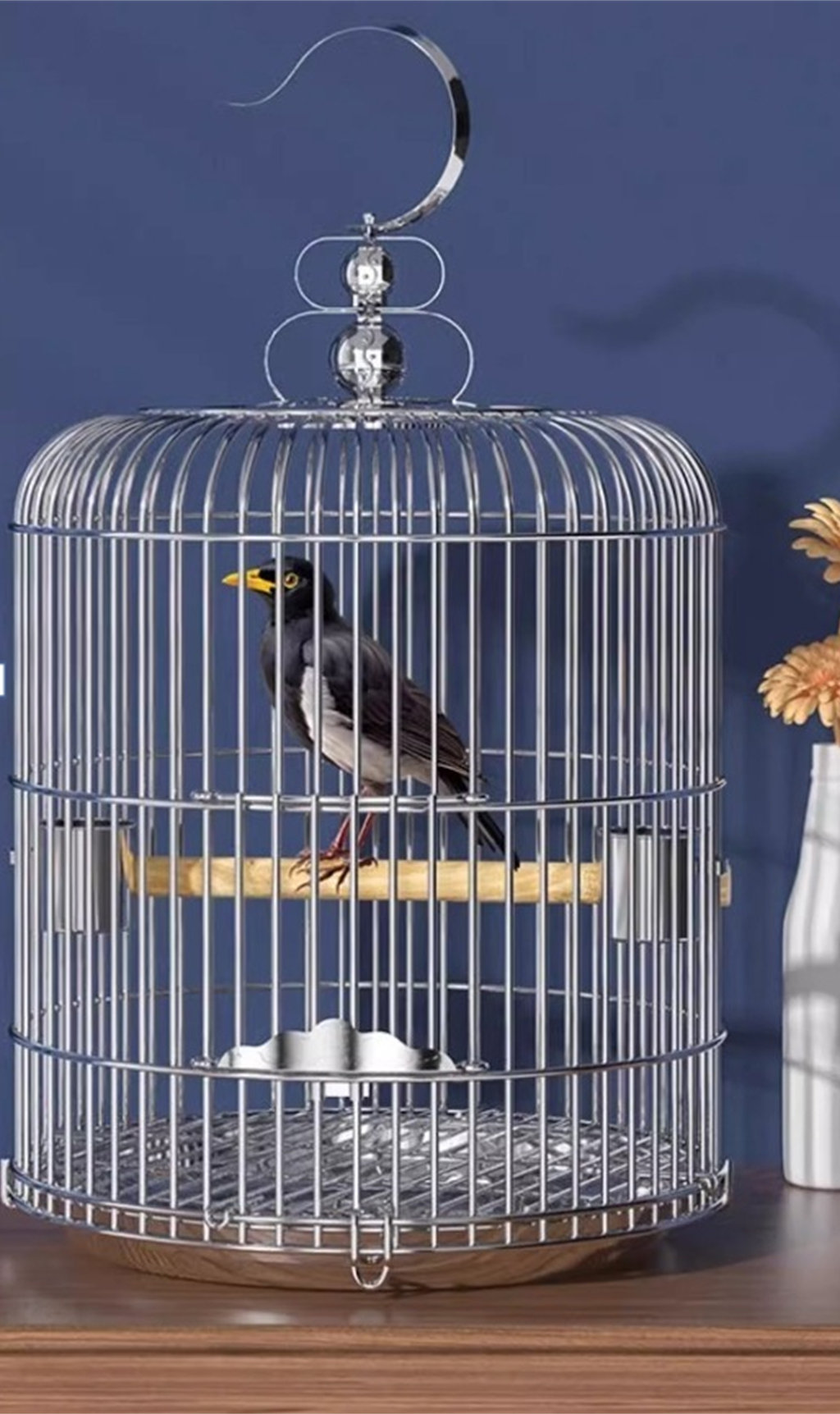 Arlmont & Co. Luxury Parrot Cage - Specialized For Grey Parrots, Tiger ...