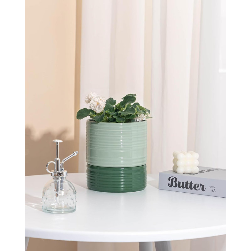 Ebern Designs 6" Ceramic Self-watering Pot | Wayfair