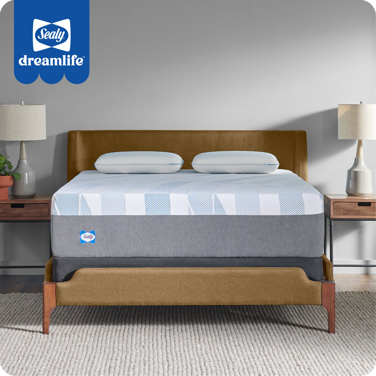 Sealy Dreamlife 14” Plush Foam Mattress-in-a-Box & Reviews | Wayfair
