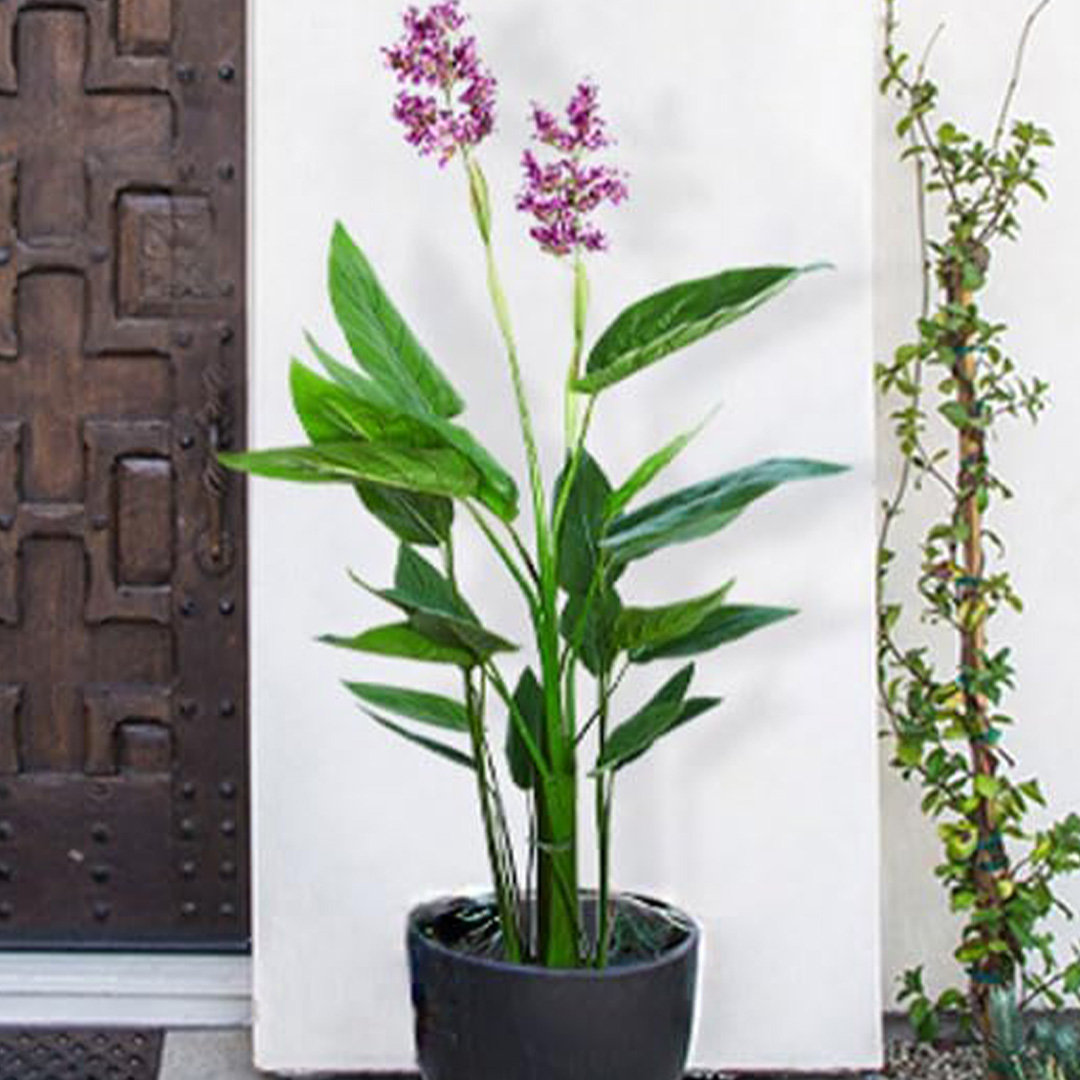 Primrue 5ft Artificial Canna Violet Tree with Flowers for Home Decor ...