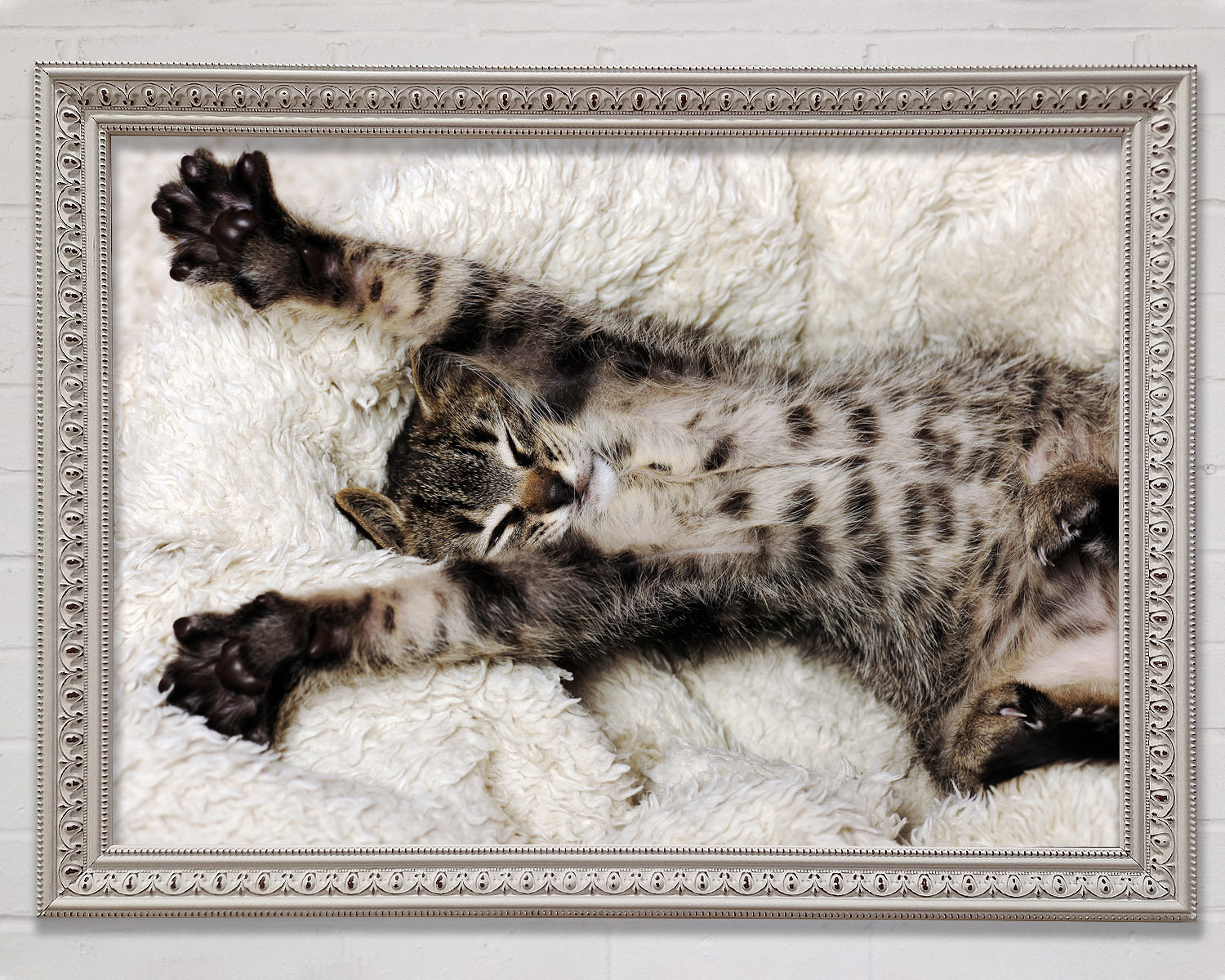 Bright Star Cat Nap - Print | Wayfair.co.uk