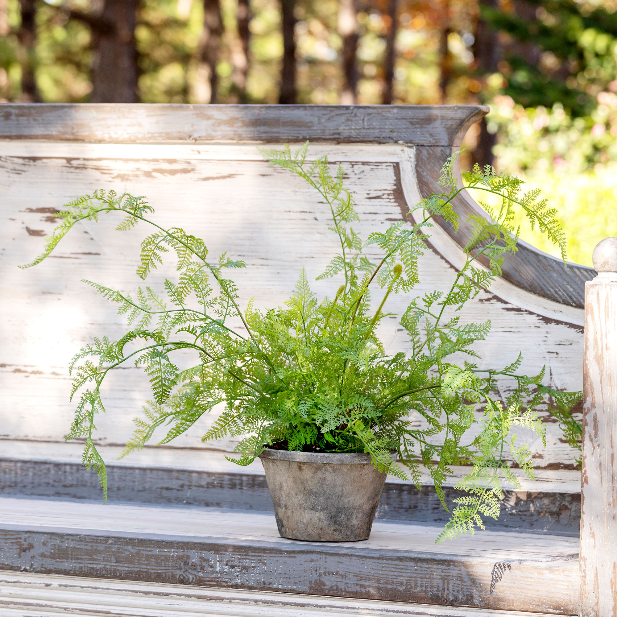 Park Hill Collection 30" Artificial Fern Tree in Pot | Wayfair