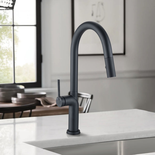 Aula Pull Down Kitchen Faucet - Wayfair Canada