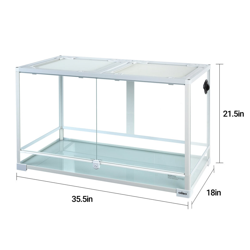 OiiBO 60 Gallon Terrarium & Reviews | Wayfair