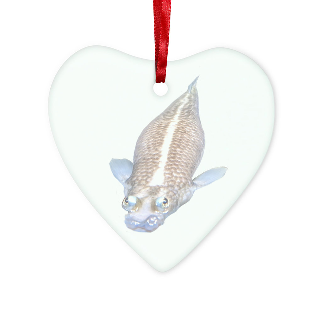 The Holiday Aisle® Koi Fish 2 Holiday Shaped Ornament | Wayfair