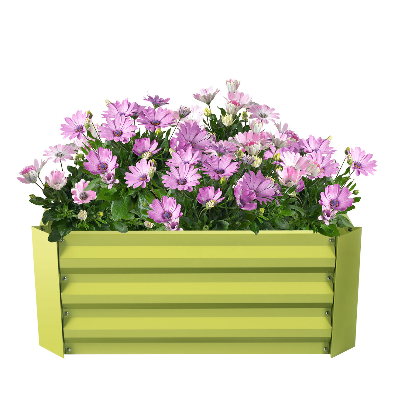 Hokku Designs 4*4Ft Metal Planting Bed Strong And Durable Suitable For ...