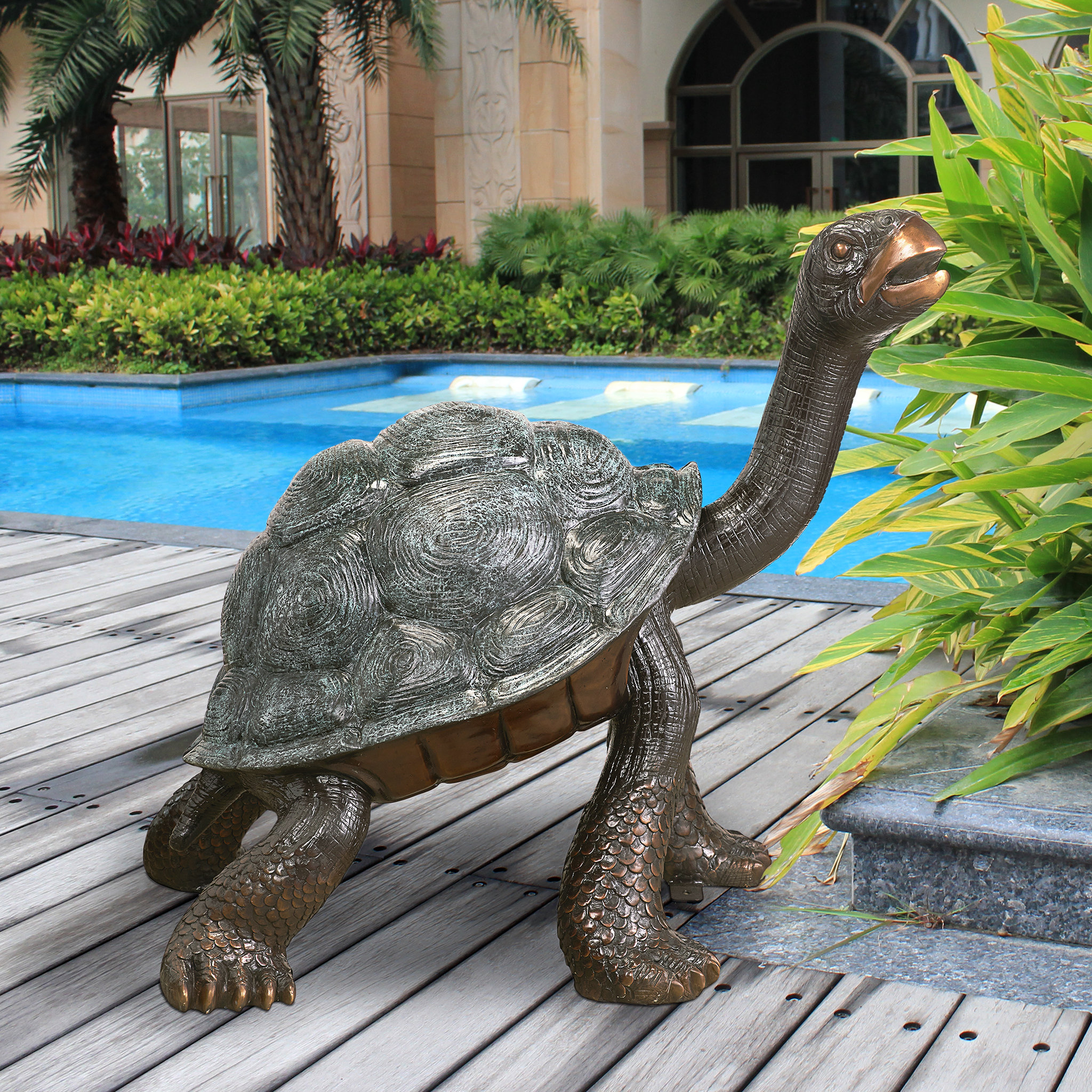 Design Toscano Curious Tortoise Garden Statue - Wayfair Canada
