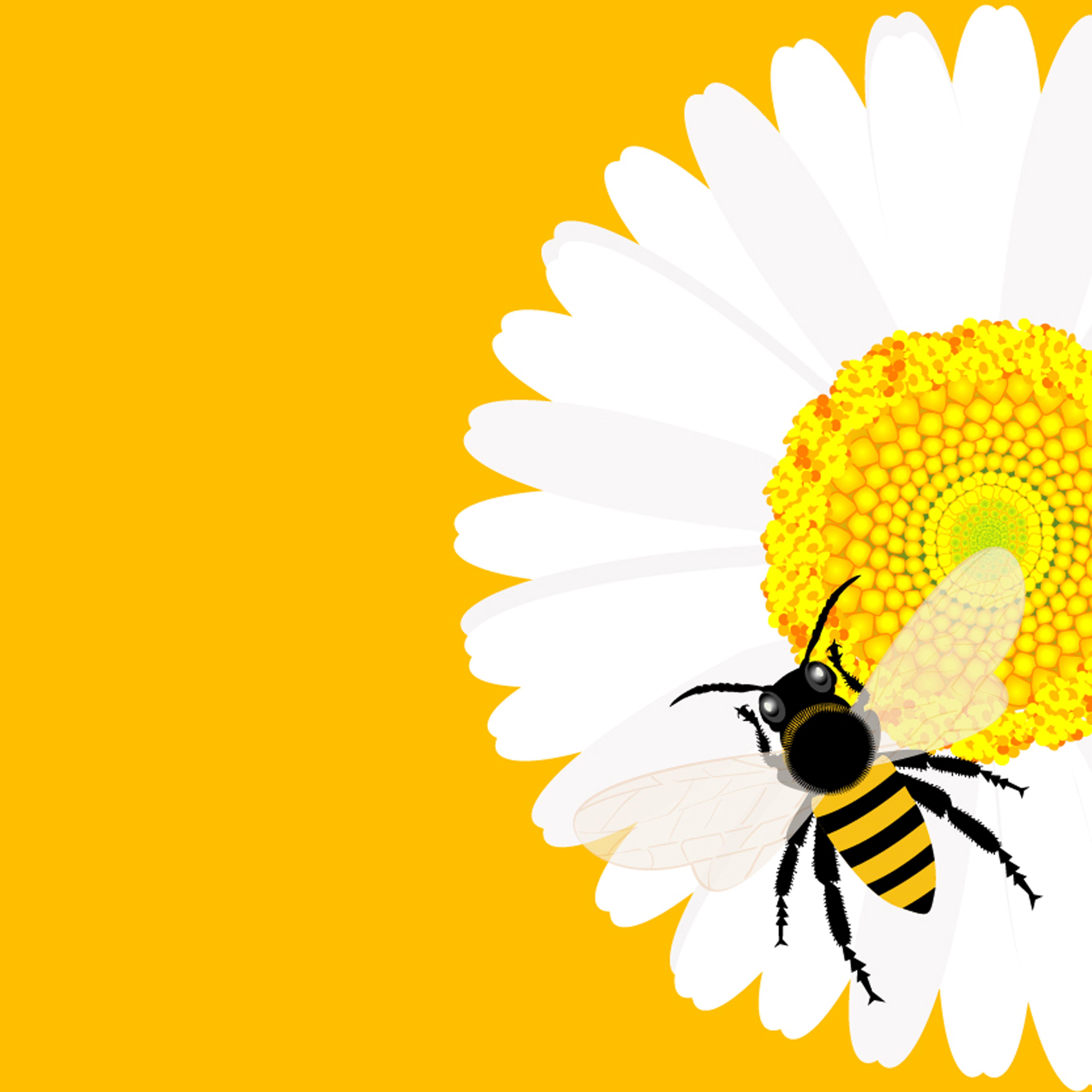 Ebern Designs Daisy Flower With Bee - Wayfair Canada